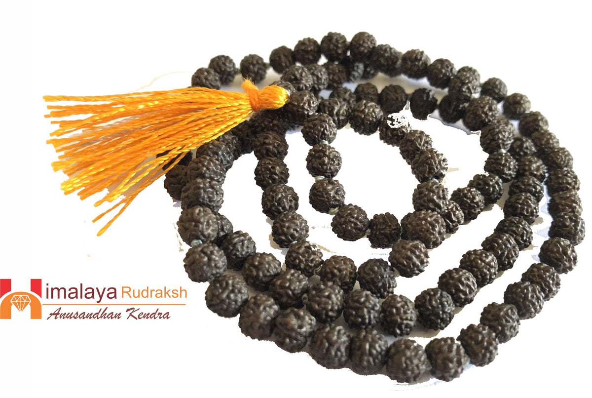 Divy 5 Mukhi Black Rudraksha Mala | Himalaya Rudraksha Anusandhan Kendra