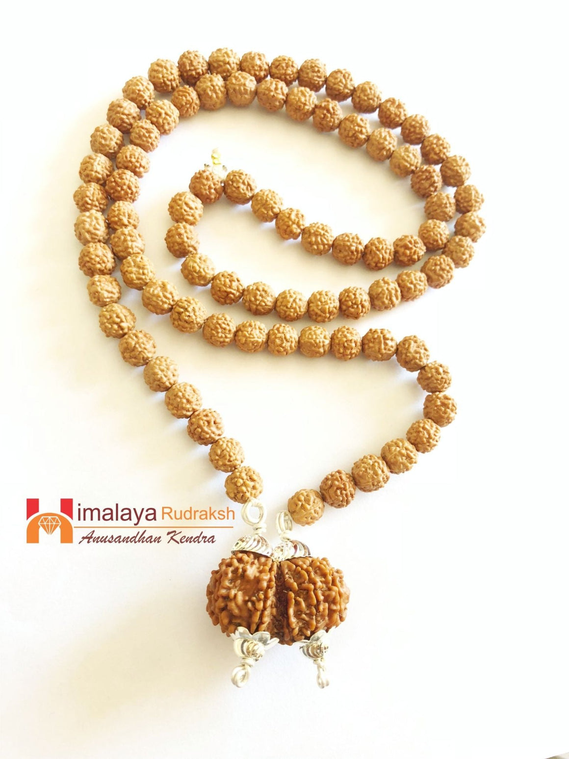 Rudraksha Mala | Himalaya Rudraksha Anusandhan Kendra